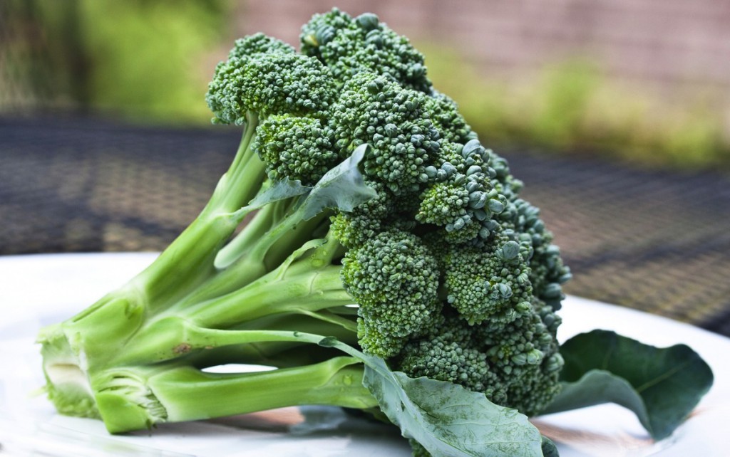 Chemical in broccoli can improve autism symptoms – Behavior Education ...